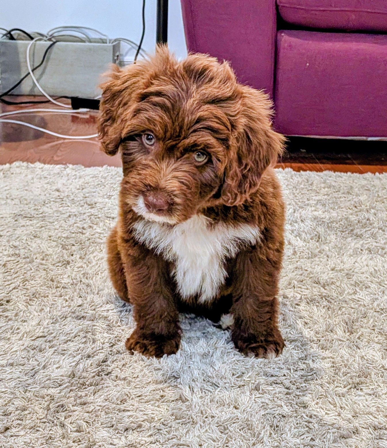 Welcome Sadie – YouAreEnough